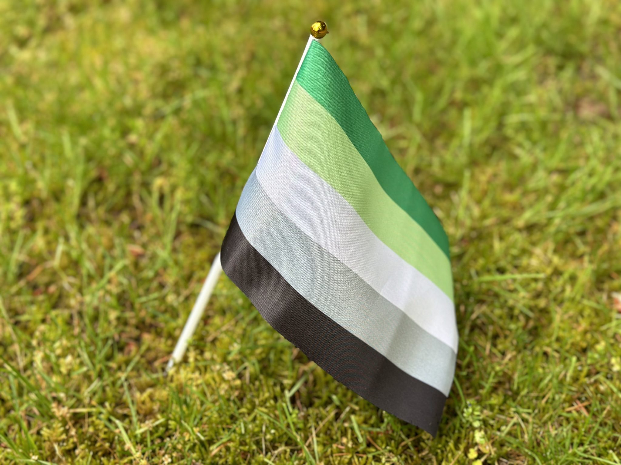 Aromantic Visibility Day - Raising awareness on June 5th for people on ...